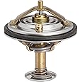 Amazon.com: Stant OE Type Thermostat : Automotive