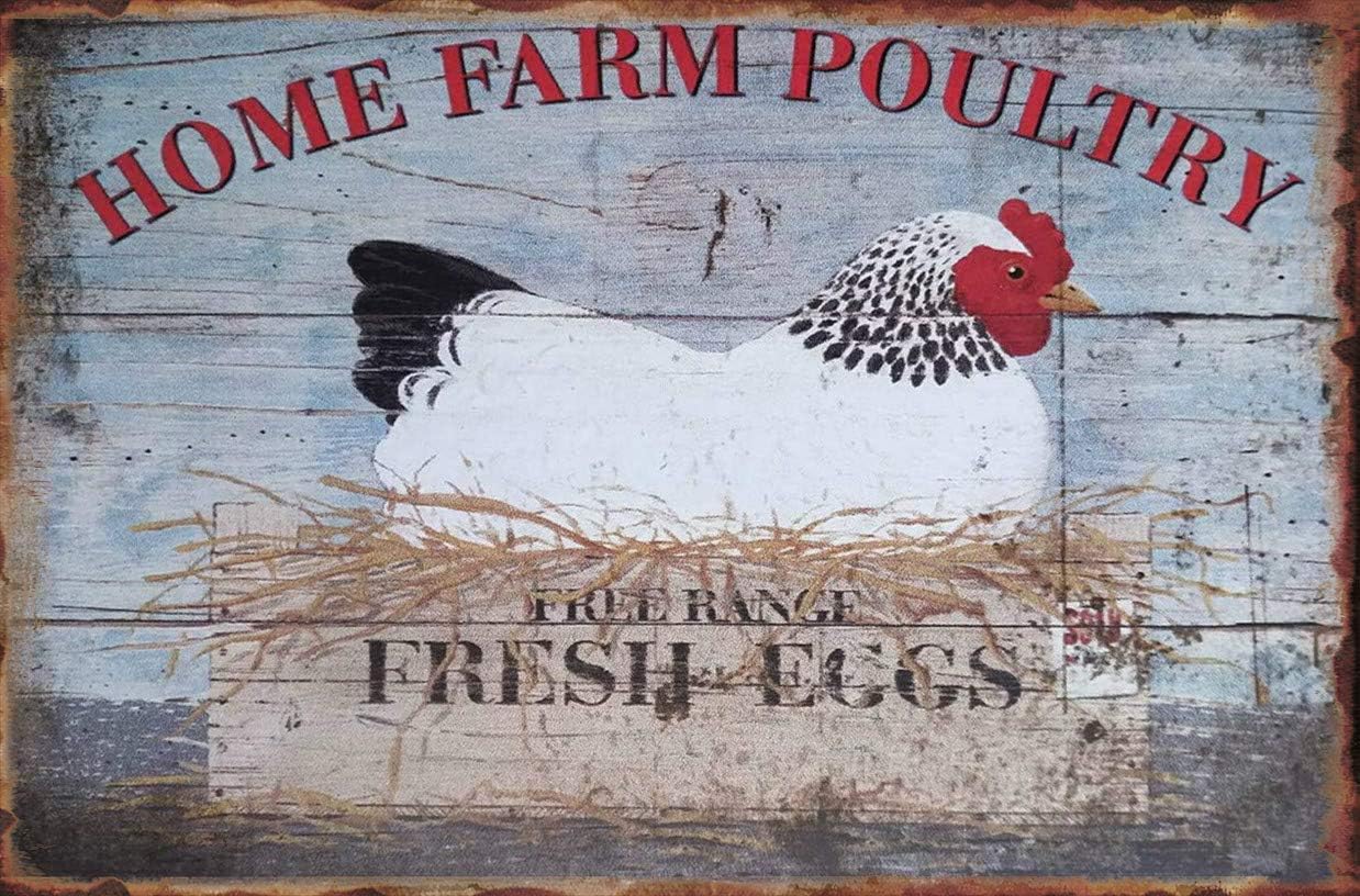 Amazon.com: Home Farm Poultry Fresh Eggs Vintage Funny Chicken Signs ...