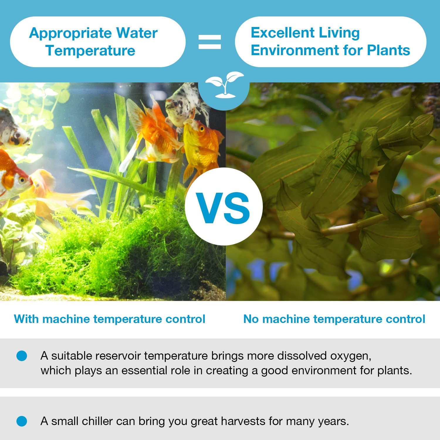 Mua Ezcasch Aquarium Chiller, 42gal 1/10 HP Water Chillers, Hydroponic ...