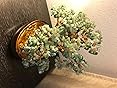 Amazon.com: KALIFANO Natural Tree of Life Gemstones (1,251 Gemstone ...