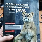 Programmazione di base e avanzata con Java: Amazon.it: Savitch, Walter ...