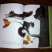 Amazon.com: The Busy Tree (9780761455509): Ward, Jennifer, Falkenstern ...