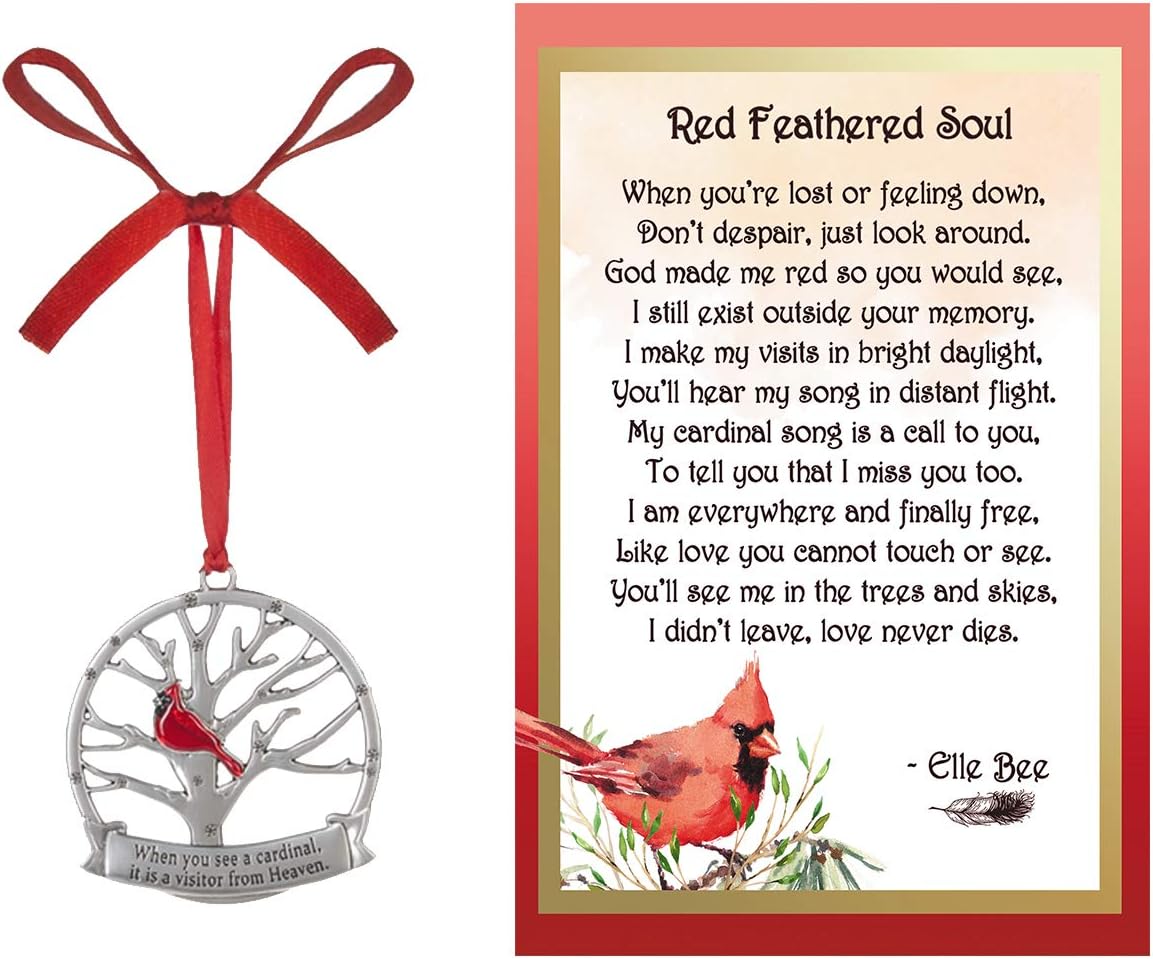 Amazon.com: Lola Bella Gifts and Ganz Visitor from Heaven Cardinal ...