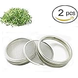 Amazon.com: GEO Sprouting Jar - Italian Design - Glass Jar with ...