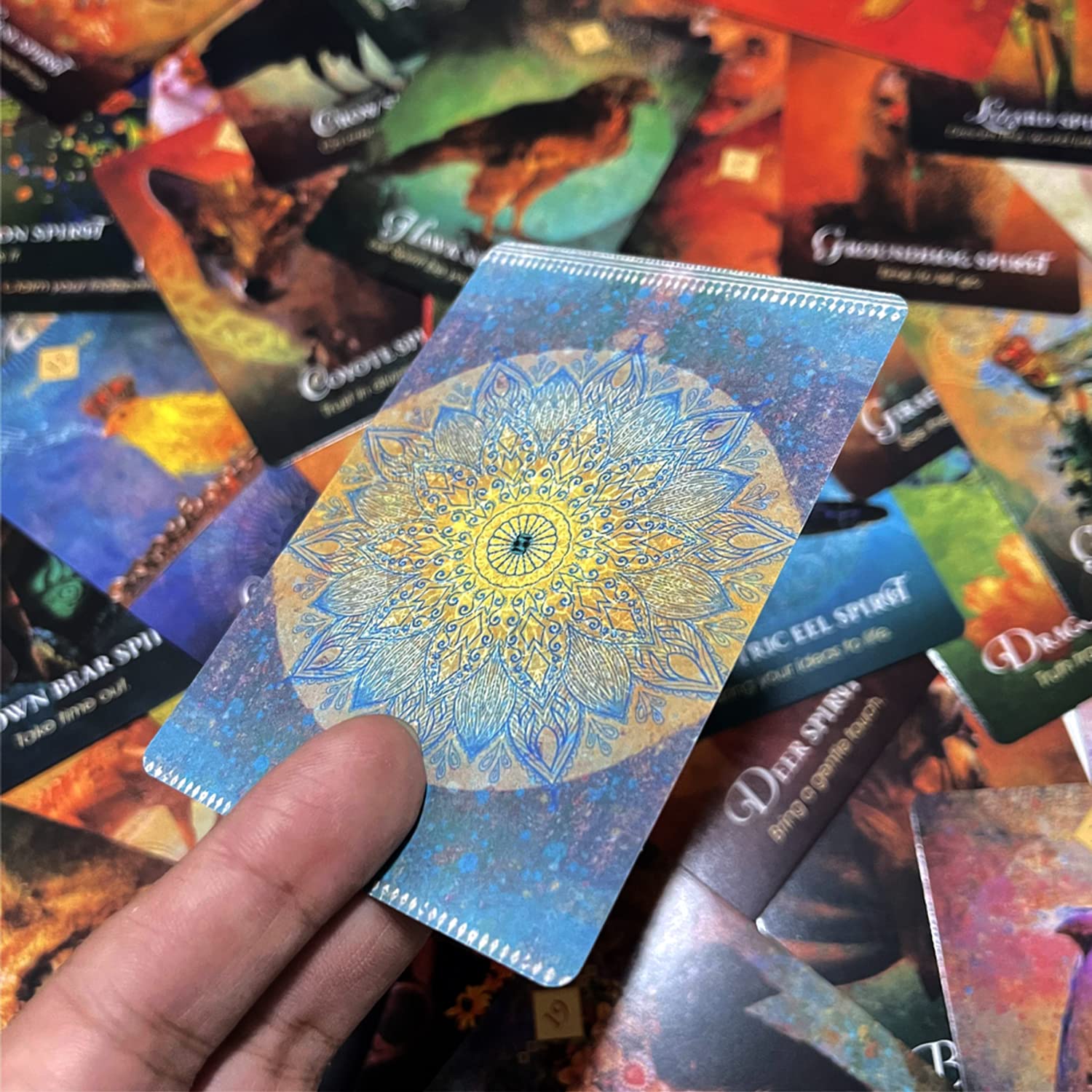 Mua F.curella Tarot Cards for Beginners, 68 Tarot Deck and Oracle Deck ...