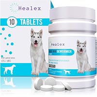 Amazon.com New Releases: The best-selling new & future releases in Dog ...