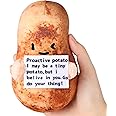 Amazon.com: PullCrease Funny Big Cute Potato Plush 5.3 Inch Kawaii ...