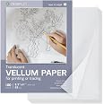 Amazon.com: 8.5x11 Tracing Paper for Drawing-Goefun 100 Sheets Vellum ...