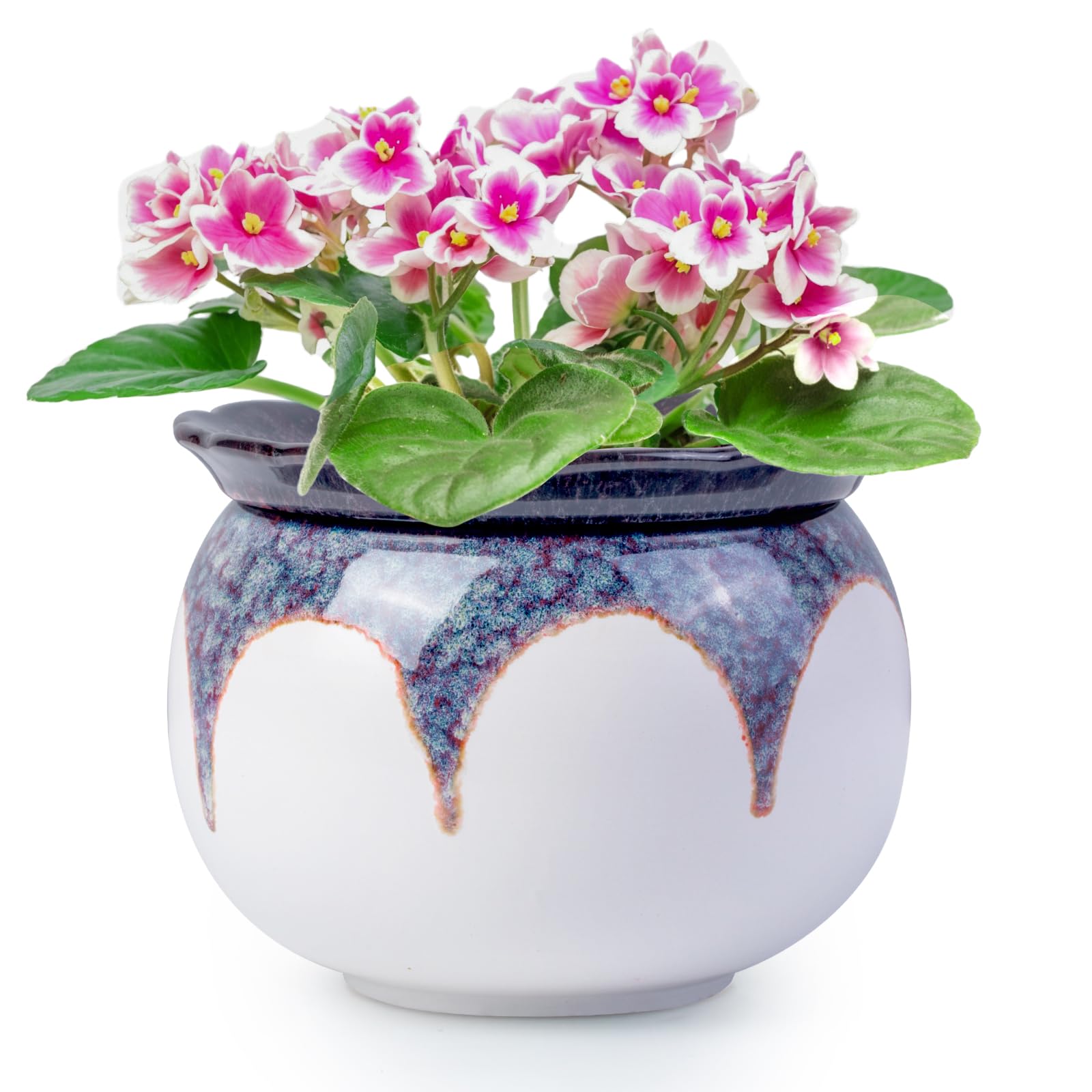 LITUDISO African Violet Pots, 6 Inch Self Watering Pots for Indoor ...
