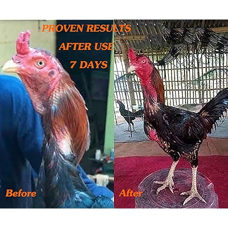 Mua New MAXX 30 Capsules, Rooster Booster Vitamins Health Chicken ...