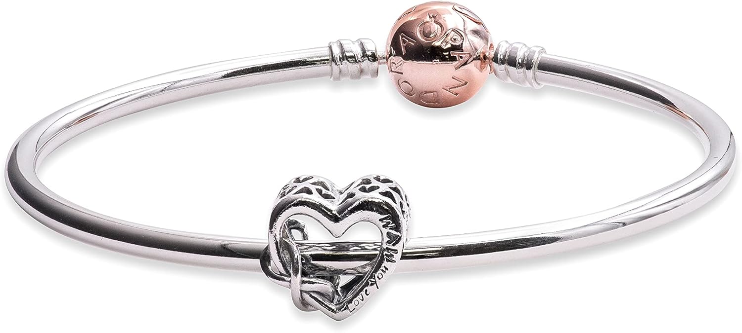 PANDORA My Whole Heart Bangle Gift Set: Amazon.ca: Jewelry