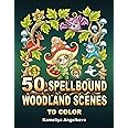 Amazon.com: 50 Spellbound Woodland Scenes to Color: 9798323636907 ...