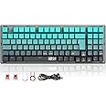 TERPORT Teclado Mecánico Español de 95 Teclas, Teclado Gaming TR95 E146 ...