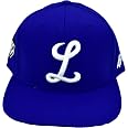 Amazon.com: LIDOMSHOP Tigres del Licey 4Fans Snapback Cap Blue : Sports ...