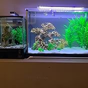 Fluval Spec V Aquarium Kit, 5-Gallon, Black: Amazon.co.uk: Pet Supplies