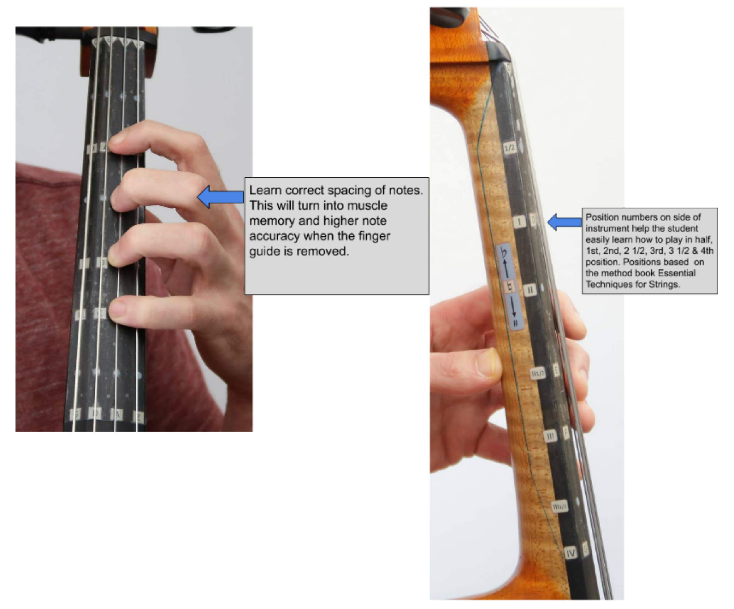 Mua Fantastic Finger Guide for Cellos | Stringed Musical Instruments ...