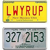 Amazon.com: Breaking Bad | LWYRUP + The CAPN | Metal Stamped License ...
