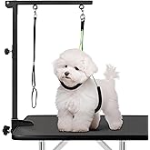 Amazon.com : JUANWAN Dog Grooming Table Arm - 37" Dog Grooming Table ...