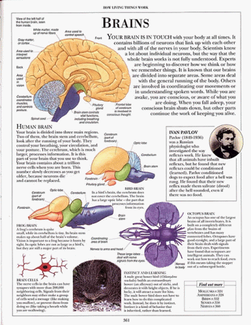 DK Science Encyclopedia (Revised Edition) | Pricepulse