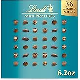 Amazon.com: Lindt Mini Pralines, Assorted Chocolate Candy Pralines with ...