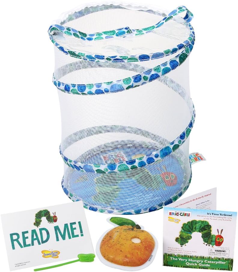 The Very Hungry Caterpillar™ Butterfly Growing Kit – BigaMart
