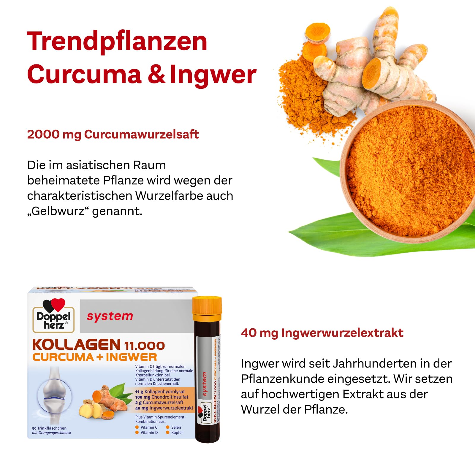 Mua Doppelherz System Collagen 11,000 Curcuma + Ginger - Vitamin C ...