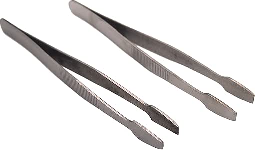 Amazon.com: 2 Stamp Tweezers Philately Stamps Collector Tools
