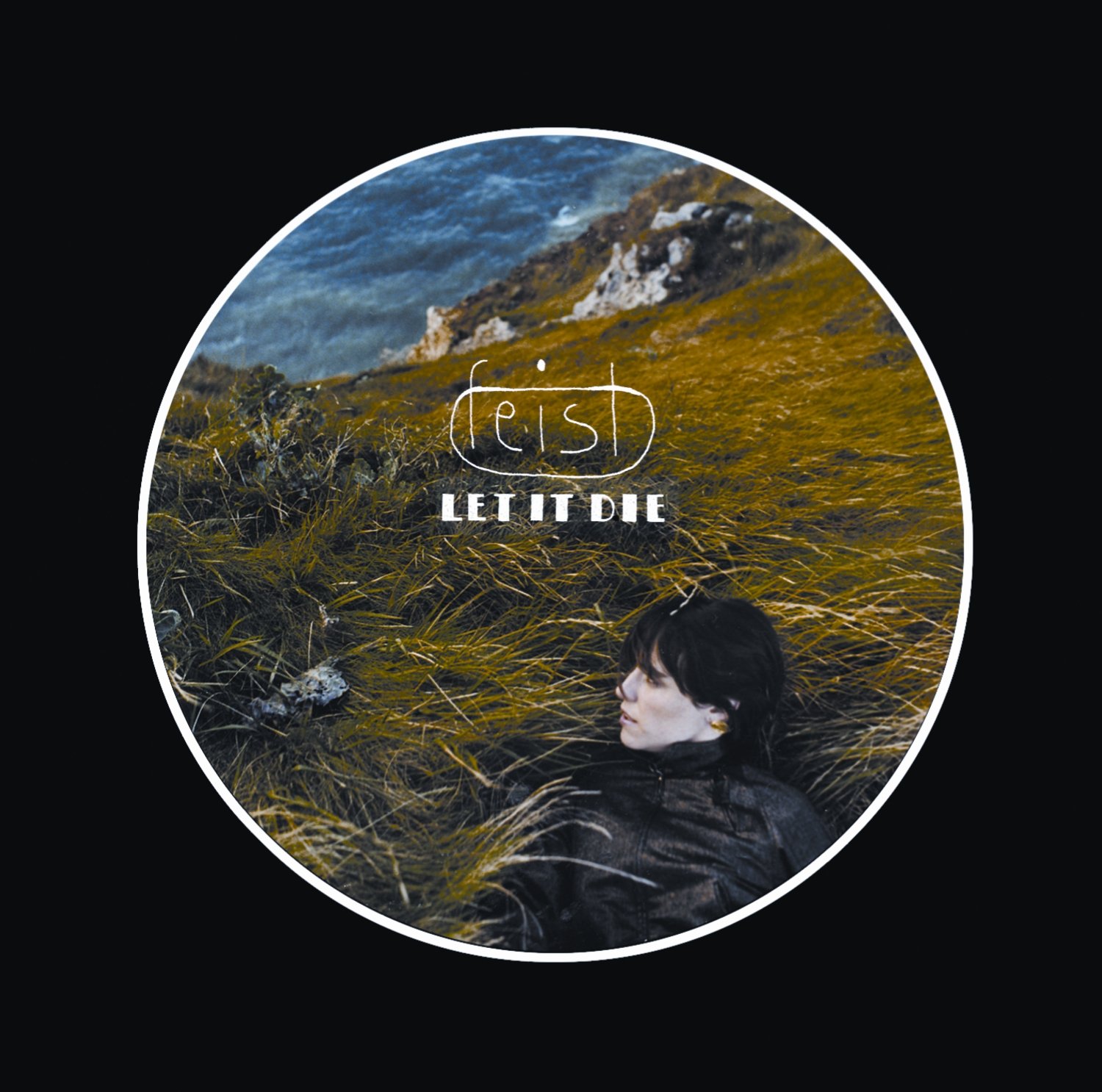 Feist - Let It Die - Amazon.com Music