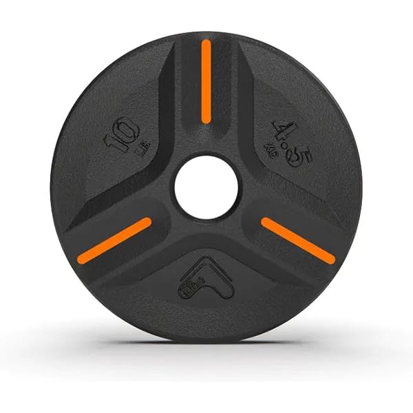 Strength Training Plates Tribe WOD Cast Iron Plate Weights - 55lb ...