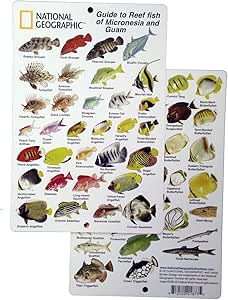 Amazon.com : National Geographic - Guide to Reef fish of Micronesia and ...