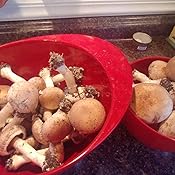 Crimini ~ Portabella ~ Baby Bella Mushroom Growing Kit - Easy to grow ...