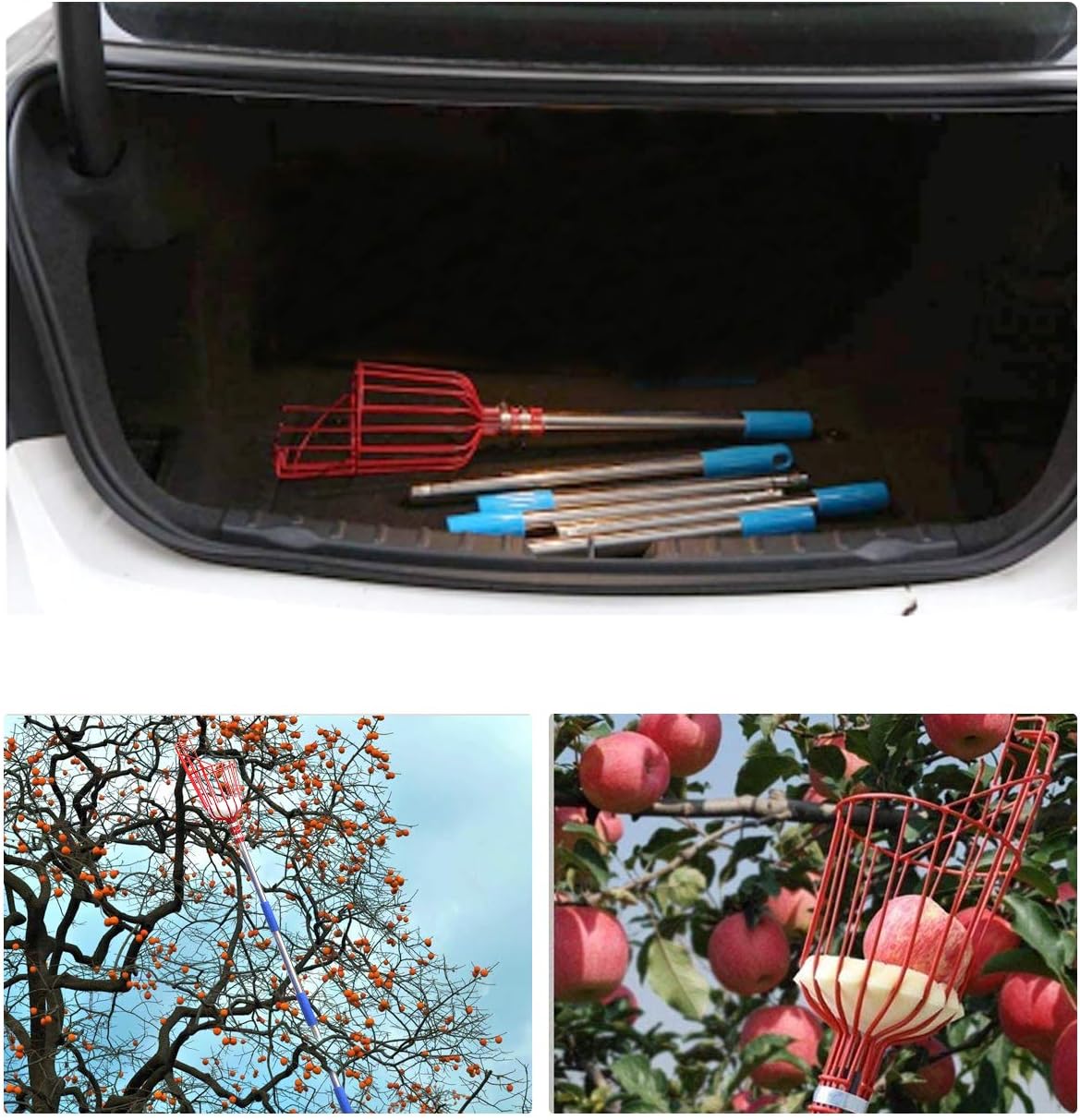 BOYO Fruit Picker Tool, 12 Foot Fruit Picker with Light Weight Aluminum ...