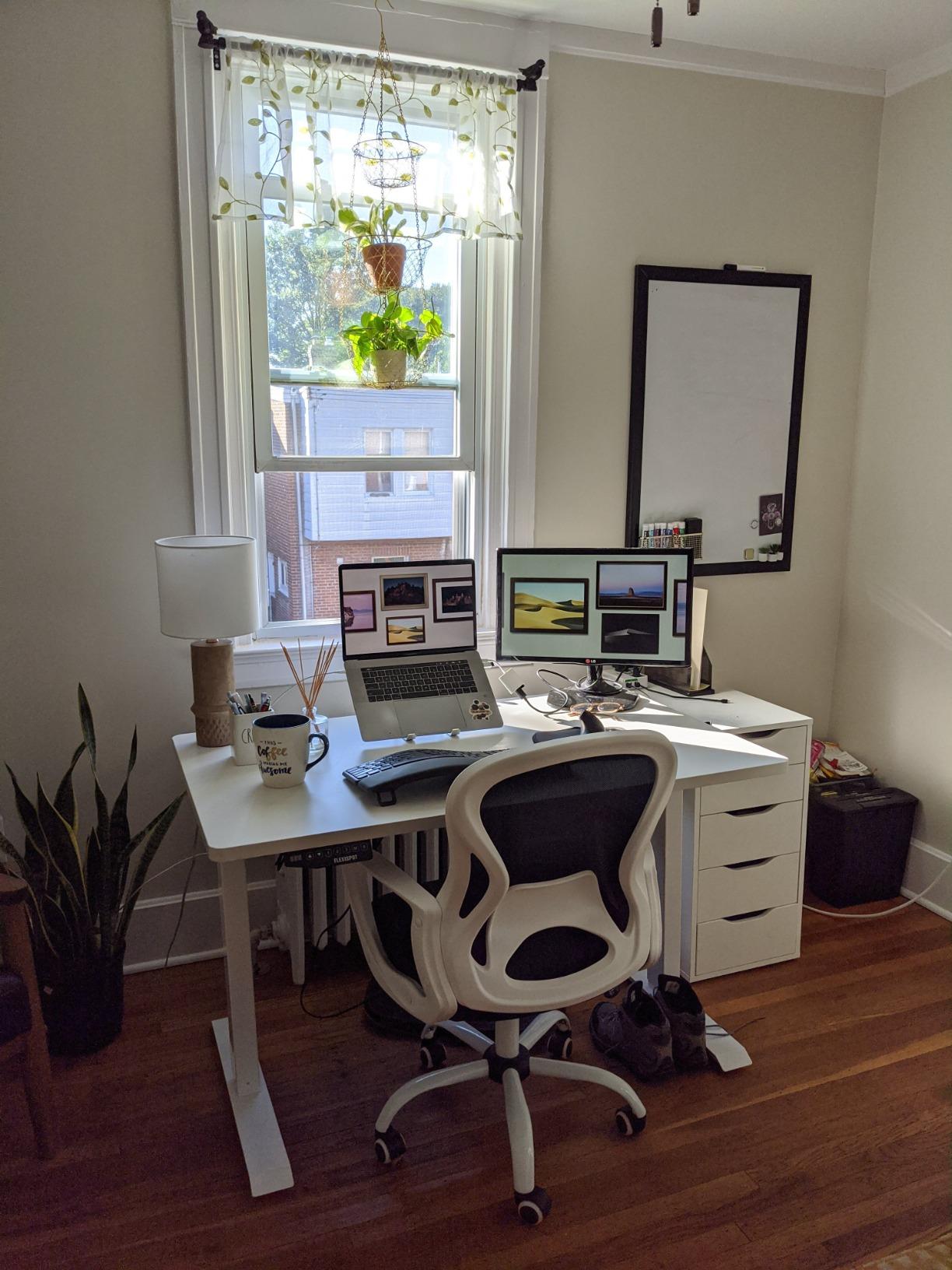 $12/mo - Finance FLEXISPOT EN1 Essential Electric Stand Up Desk ...