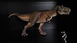 Amazon.com: Nanmu 1:35 Scale Tyrannosaurus Rex Figure Alpha T-Rex ...