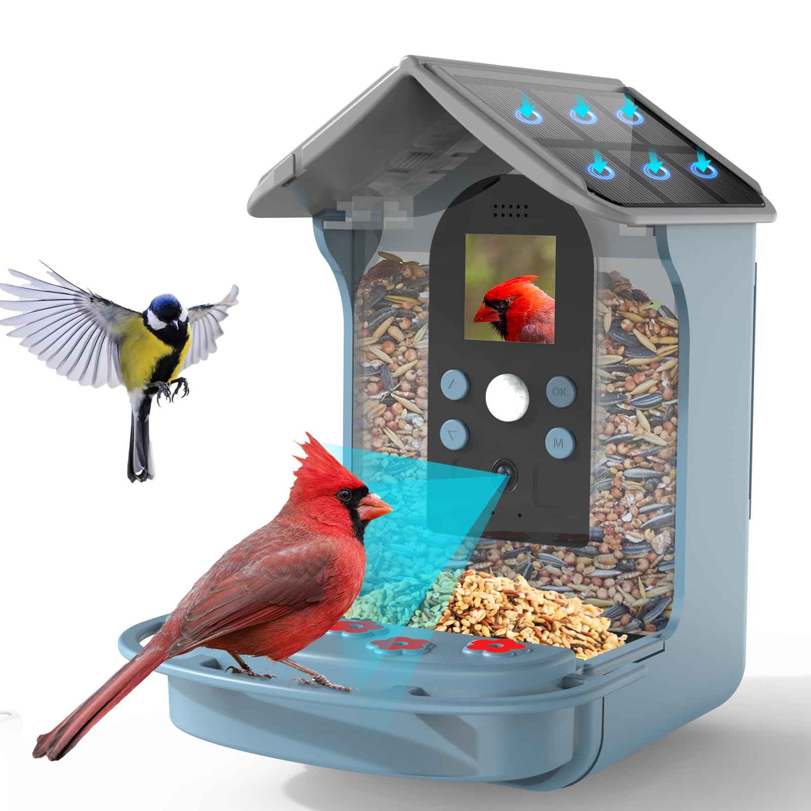 WeHot Bird Feeder with Camera-Bird Watching Camera Solar Powered, 1080P ...