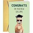 Amazon.com : Cute Llama Graduation Card, Funny Pun Congrats Card for ...