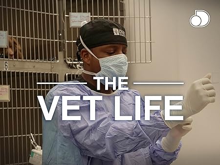 Watch The Vet Life - Season 3 | Prime Video