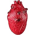 Amazon.com: BESTOYARD Bloody Simulation Heart Scary Bloody Organ ...