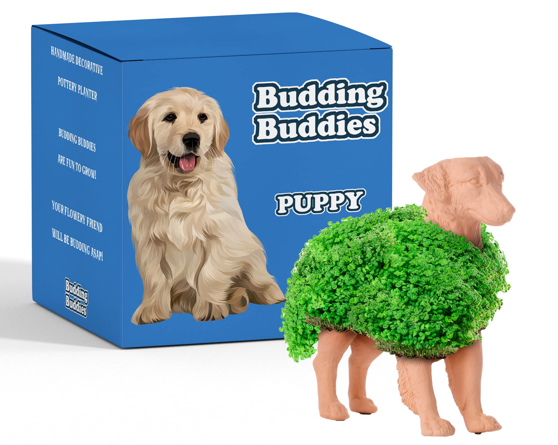 WARM WELCOME shop Kuwait | Buy WARM WELCOME products online Kuwait ...