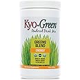 Amazon.com: Kyo-Green Green Blends Energy Powered Drink Mix, 10 Ounce ...