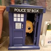 Amazon.com: Funko POP TV: River Song Doctor Who Action Figure: Funko ...
