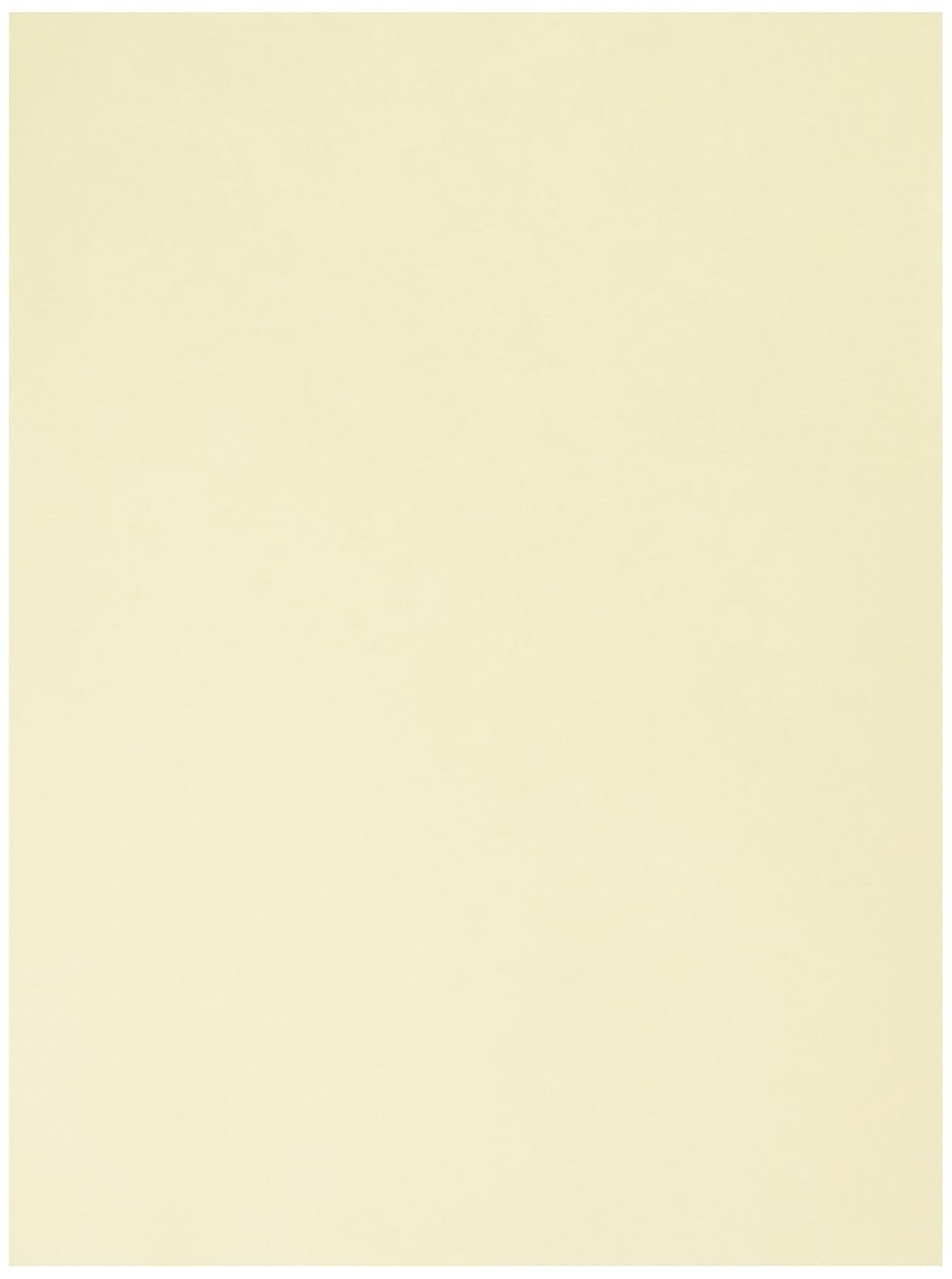 Amazon.com: PACON Corporation Pac5131 Tag Sheets Manila 9 X 12: Toys ...