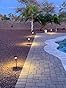 hykolity Low Voltage ORB LED Landscape Path Light W/ Crackled Shade, 3 ...