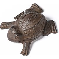 Amazon.com: WEMPOLU Frog Key Storage Key Hider Outdoor 2 Lbs Frog Cast ...