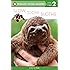Amazon.com: Slowly, Slowly, Slowly, said the Sloth (9780142408476 ...