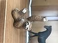 Amazon.com: Schleich Wild Life, Animal Figurine, Animal Toys for Boys ...
