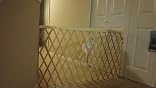 Amazon.com: Evenflo Expansion Walk Thru Room Divider Gate : Baby