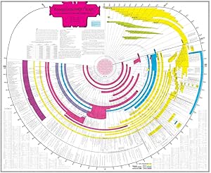 Amazon.com : Amazing Bible Timeline with World History Bible Study Tool ...