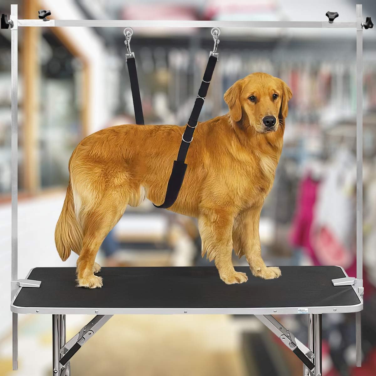 Yuehuam Dog Grooming Restraint Belly Strap Adjustable Pet D-Rings ...