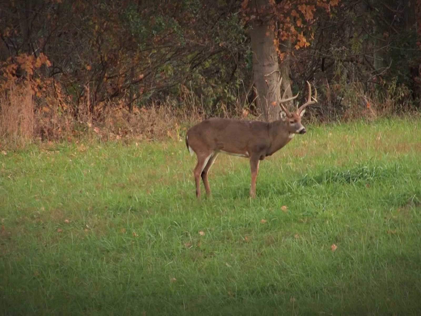 Watch Hunt Masters - Season 1 | Prime Video